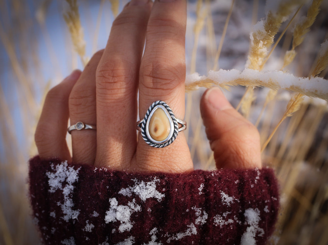 ELK IVORY – Hammered In The Mountains